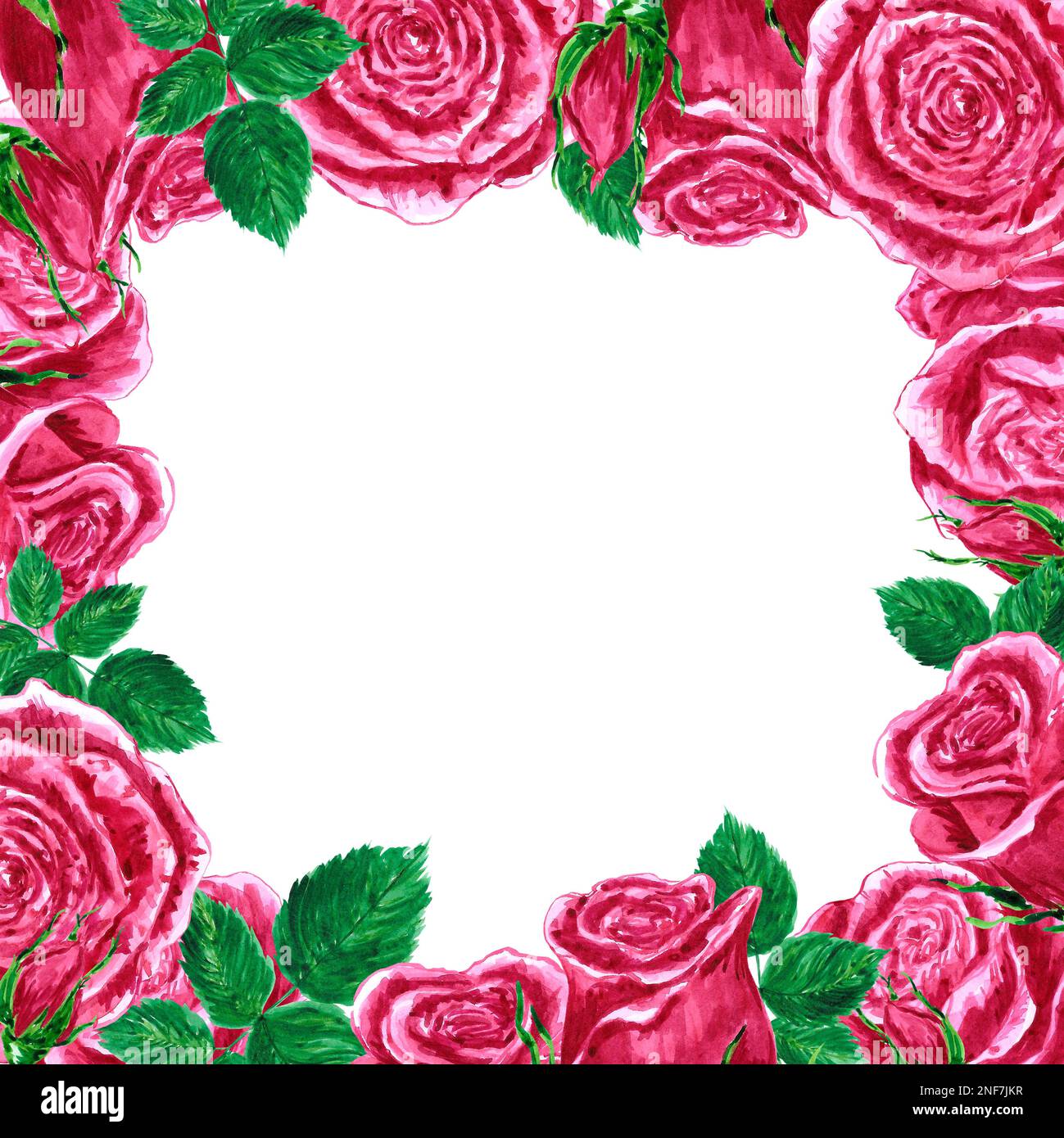 Handdrawn Watercolor roses frame boarder on the white background ...