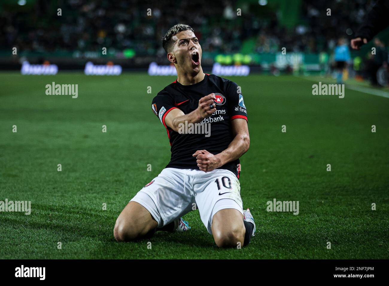 Emam ashour hi-res stock photography and images - Alamy