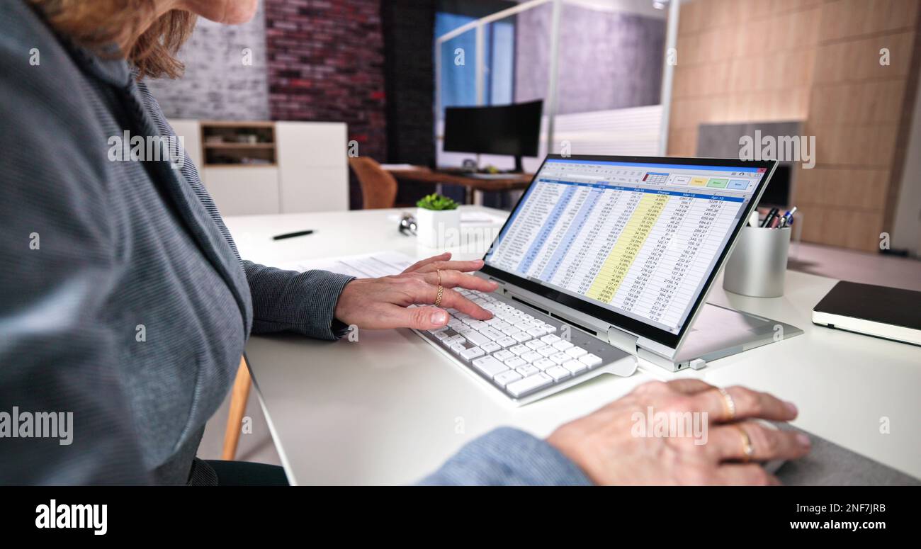 Electronic Spreadsheet Analyst Or Auditor Using Software On Hybrid ...