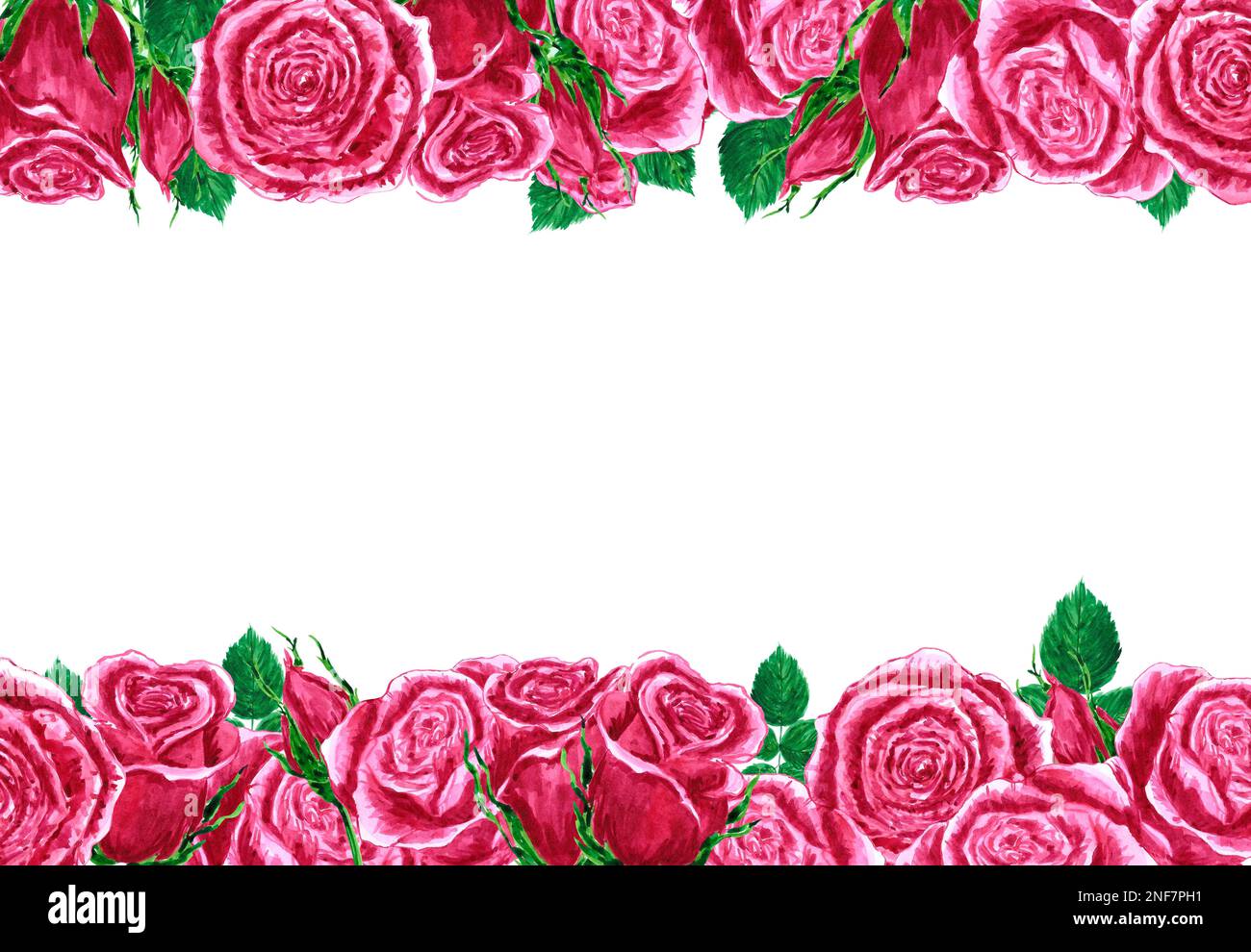 Handdrawn Watercolor roses frame boarder on the white background ...
