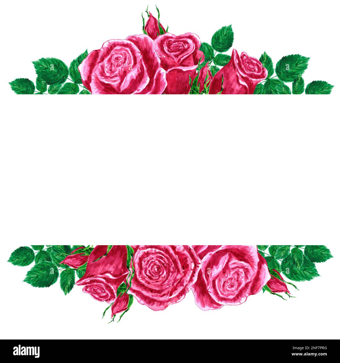 Handdrawn Watercolor roses frame boarder on the white background ...