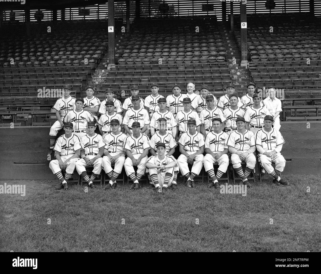 Members of the St. Louis Cardinals pose for the official picture of the ...