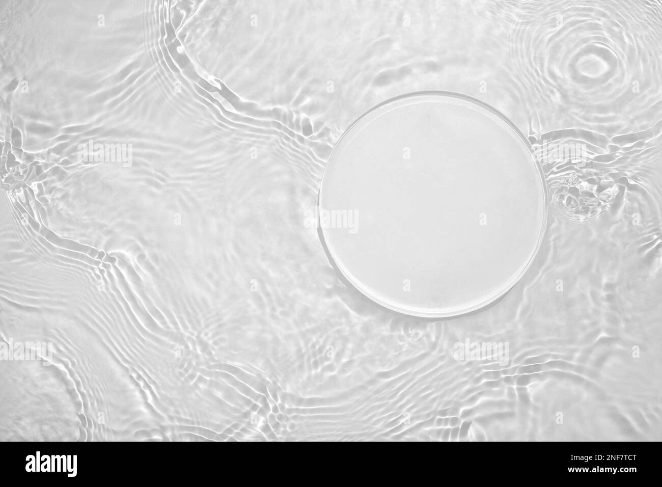Empty clear circle podium on transparent water background Stock Photo ...