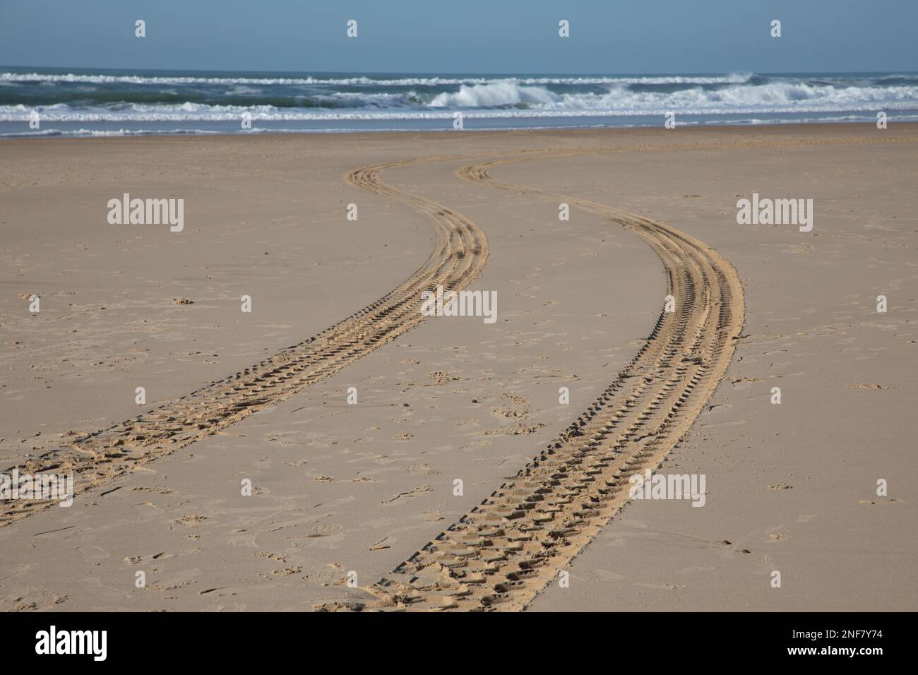 beach traces of tyre car in sand coast sea in nature background Stock ...