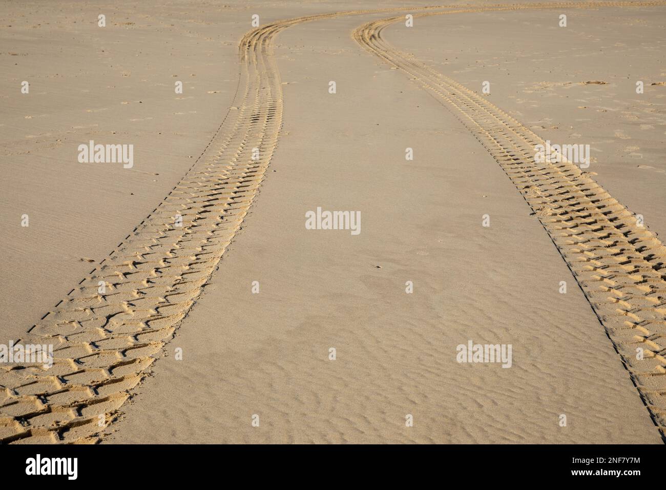 desert view car tyre Tracks On Sand beach coast Stock Photo - Alamy