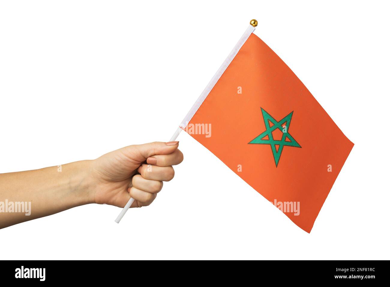Female hand holding Morocco flag isolated on white background, template ...