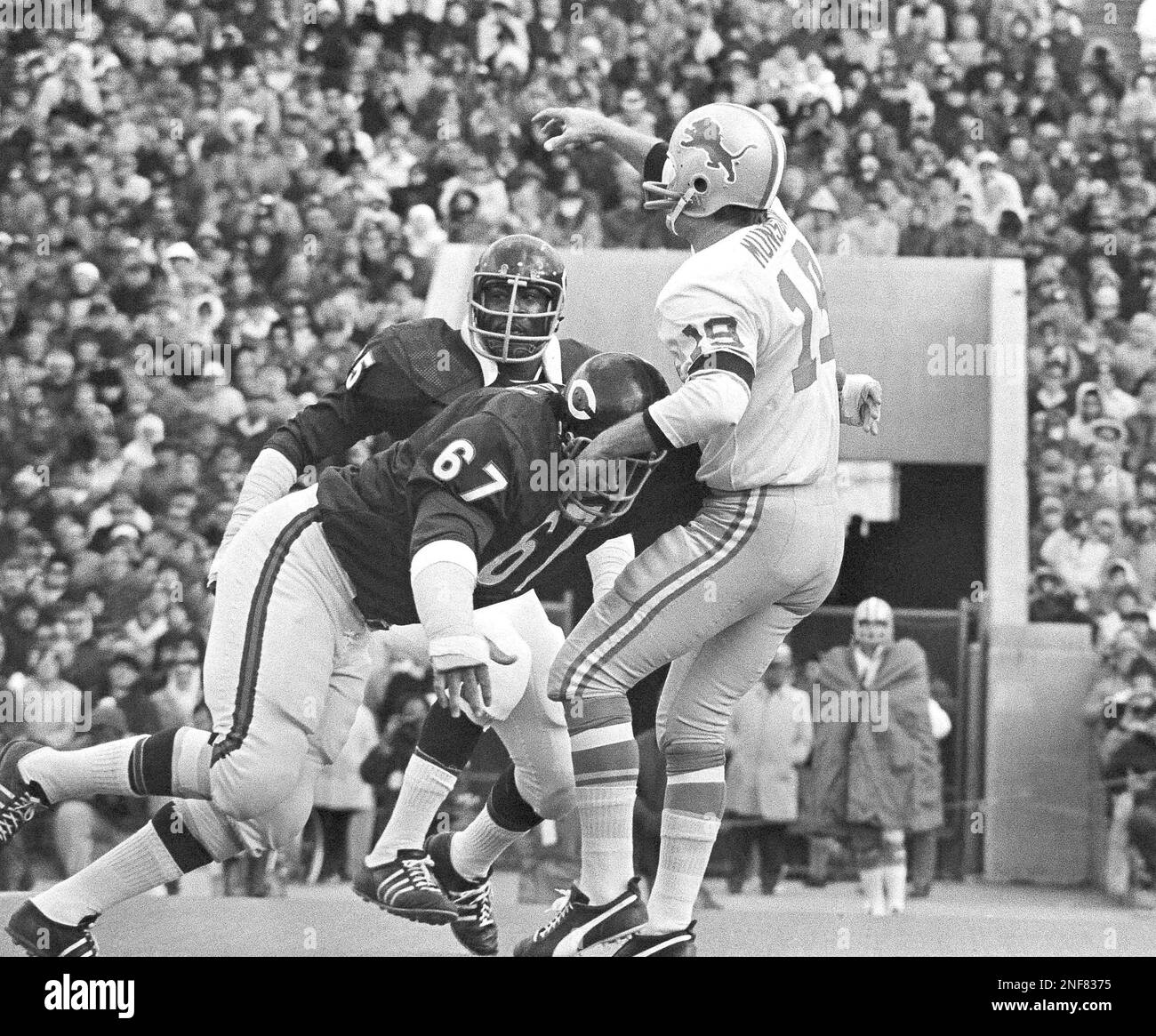 Detroit quarterback Bill Munson (19) is shown being pressured by ...