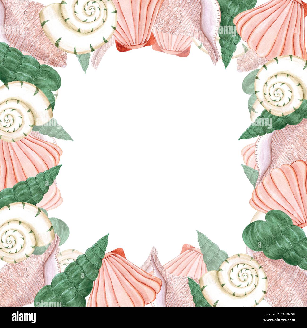Hand drawn Watercolor seashells frame on the white background ...