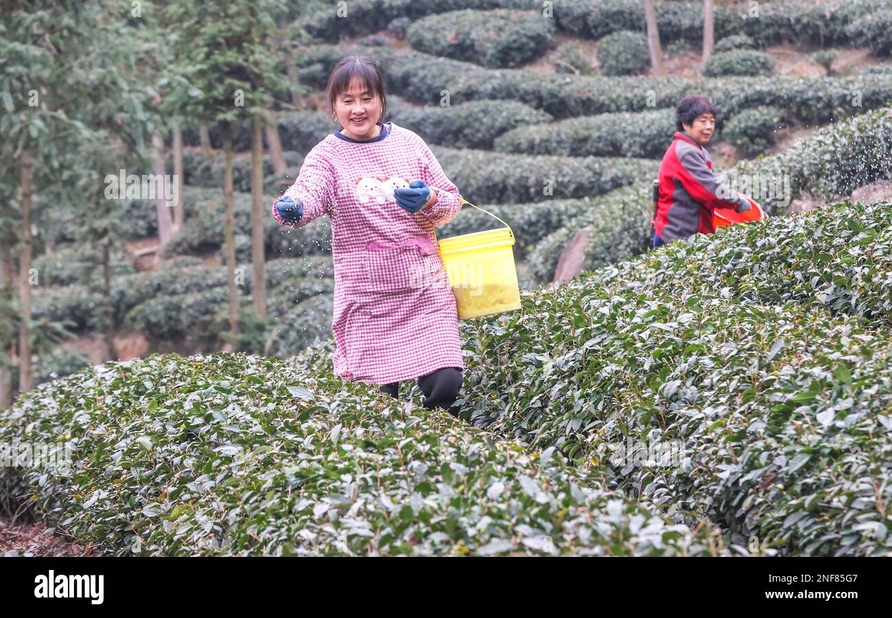 Fertilizes hi-res stock photography and images - Alamy