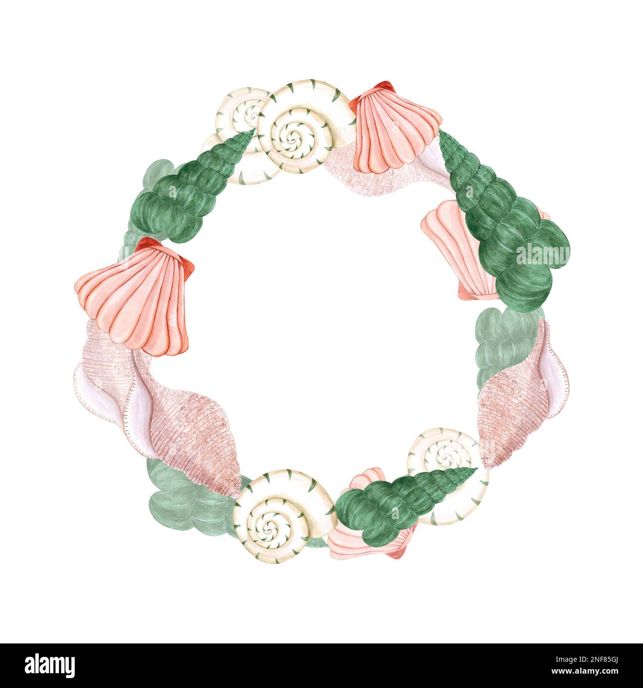 Hand drawn Watercolor seashells wreath on the white background ...