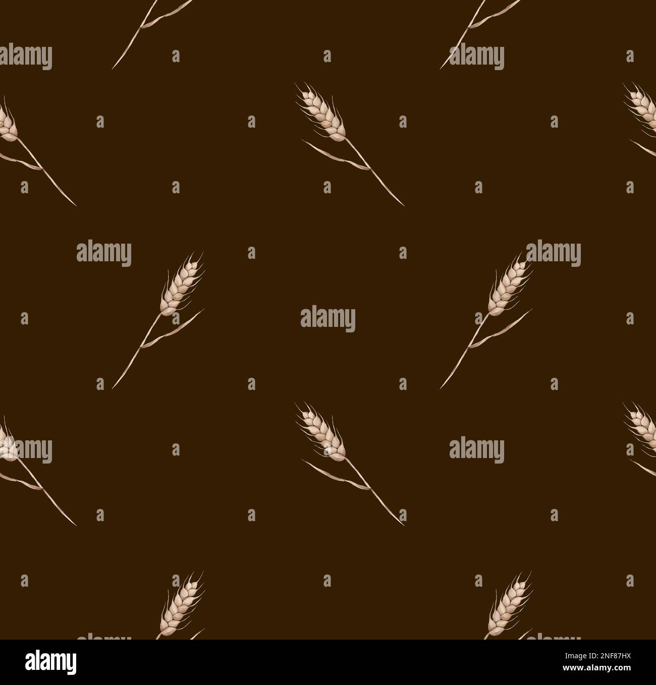 Seamless wheat spikelet pattern. Watercolor herbal background with ...