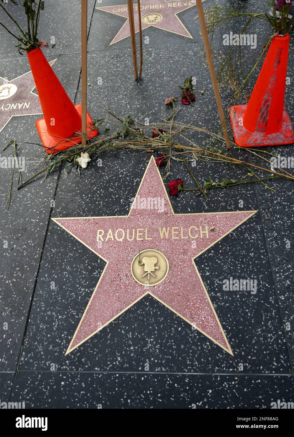 Los Angeles, California, USA 16th February 2023 A general view of ...