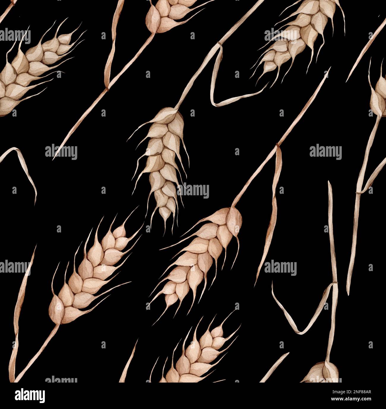 Seamless wheat spikelet pattern. Watercolor herbal background with ...