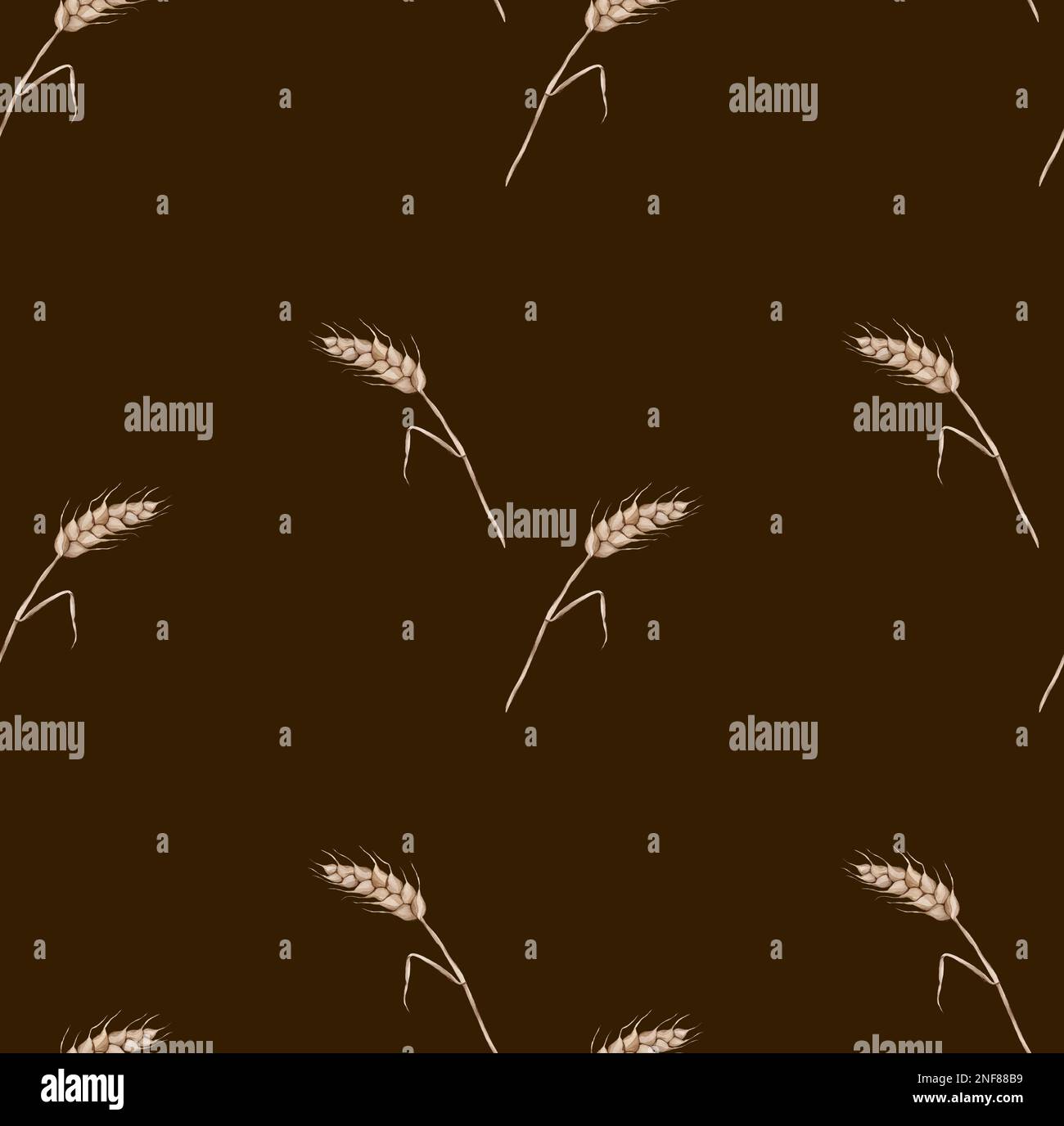 Seamless wheat spikelet pattern. Watercolor herbal background with ...