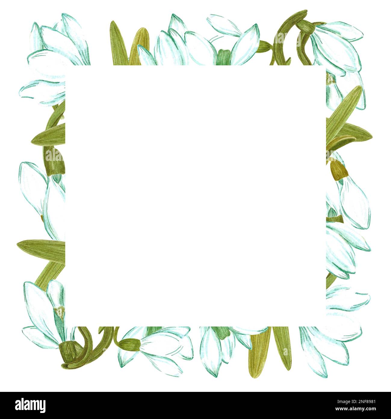 Hand drawn watercolor snowdrop flowers and leaves frame boarder on ...