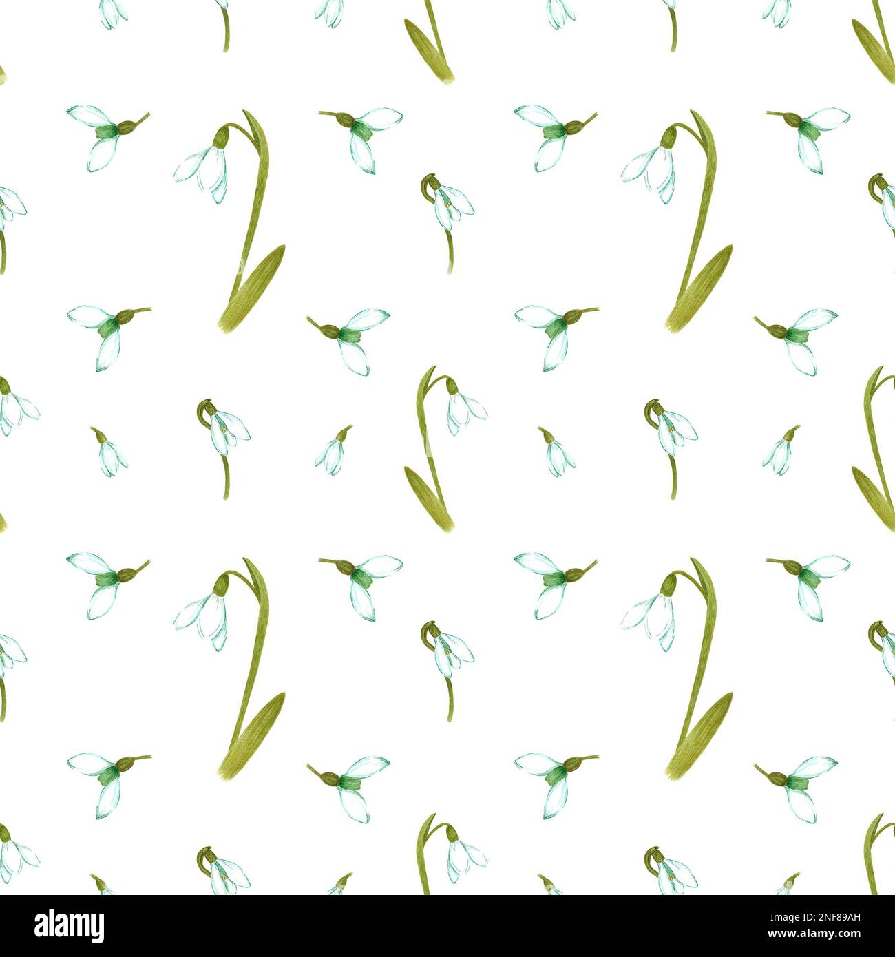 Hand drawn watercolor snowdrop flowers and leaves seamless pattern on ...