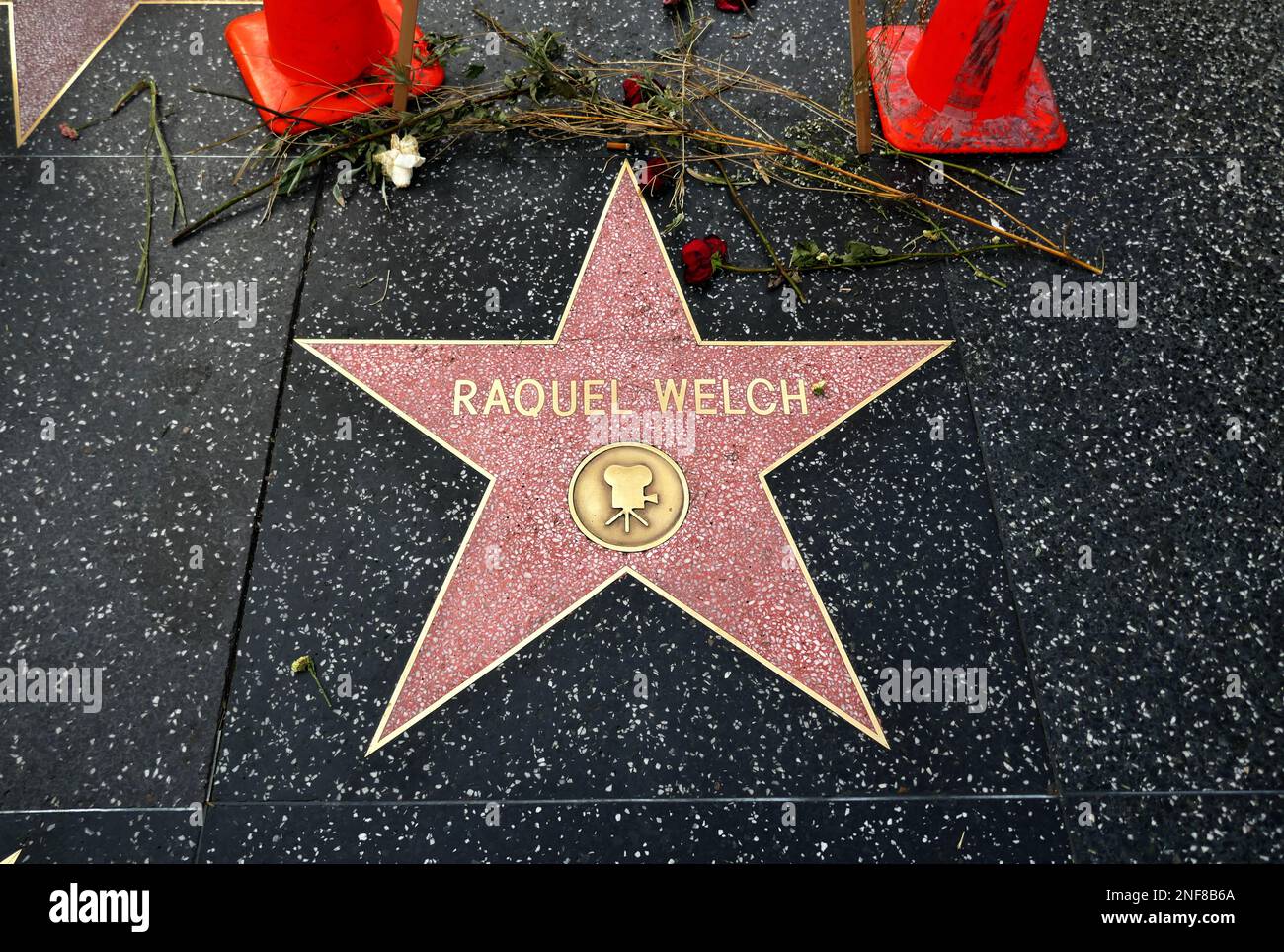 Los Angeles, California, USA 16th February 2023 A general view of ...