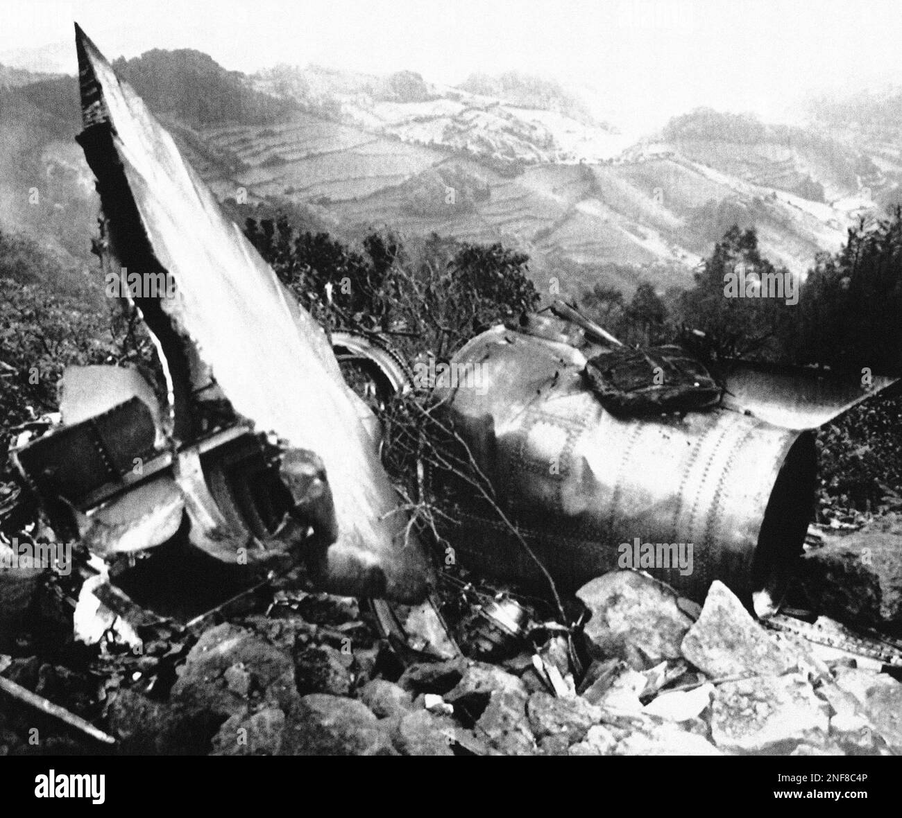 The wing section and empty shell of a Boeing 707 that crashed Feb. 9 ...