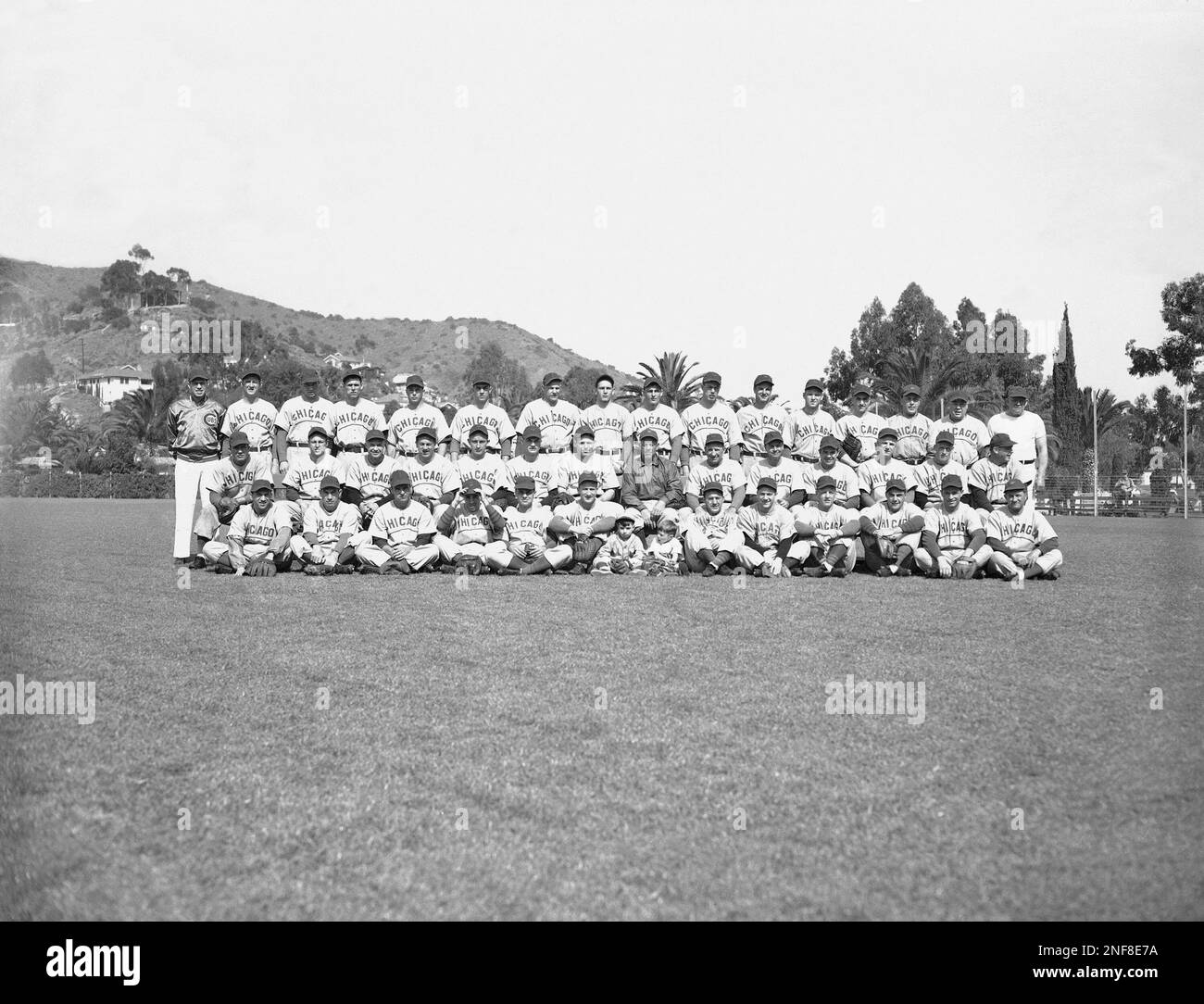 The 1947 Chicago Cubs squad poses for a group picture at their Catalina ...