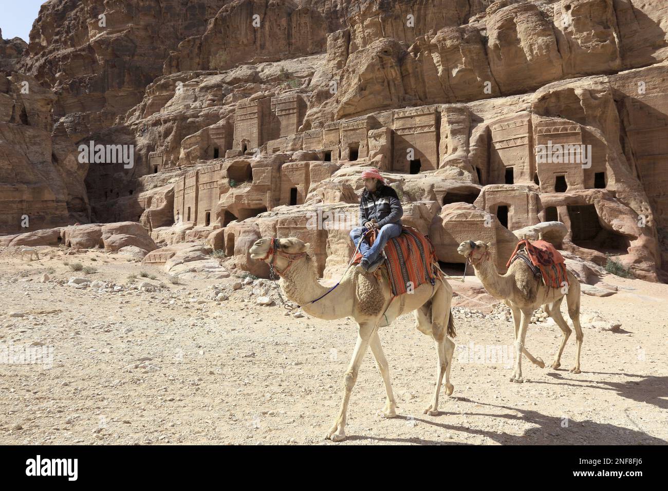 Beduinen mit Reitkamelen, verlassene Felsenstadt Petra, al-Batra ...