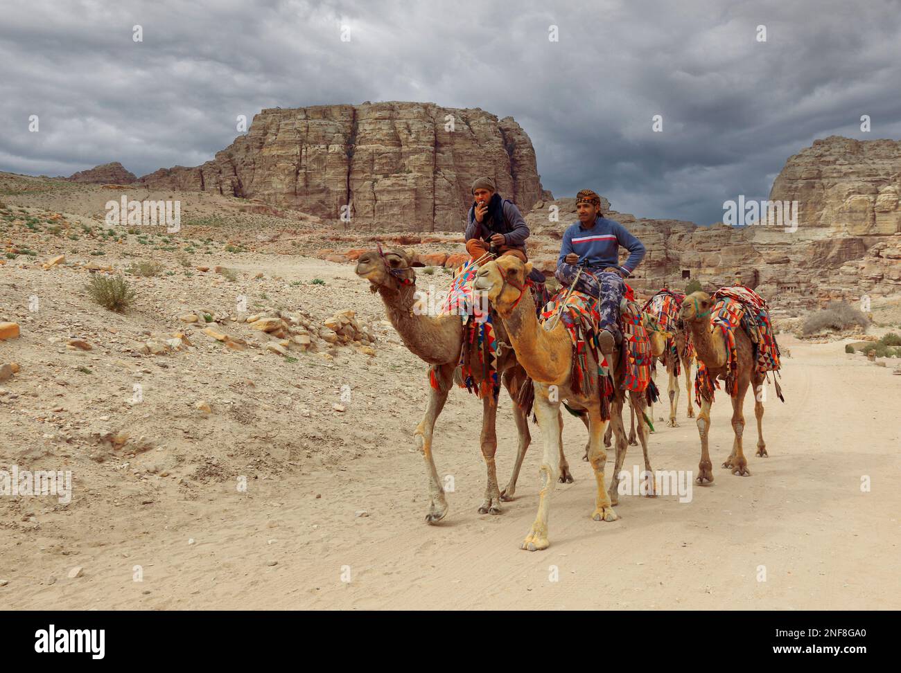 Beduinen mit Reitkamelen, verlassene Felsenstadt Petra, al-Batra ...