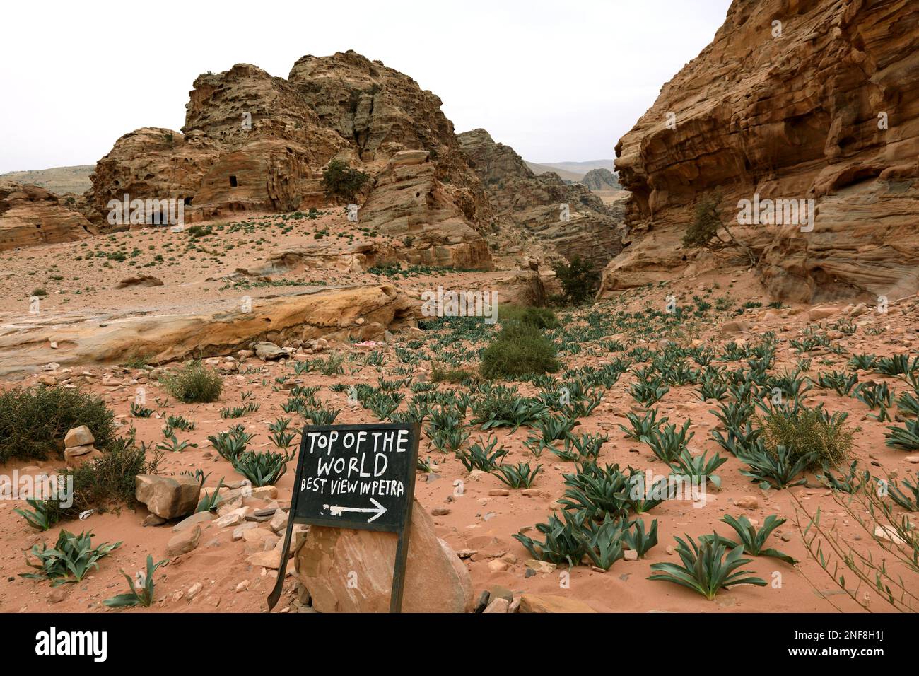 Weg zum Aussichtspunkt in Ad-Deir, verlassene Felsenstadt Petra, al ...