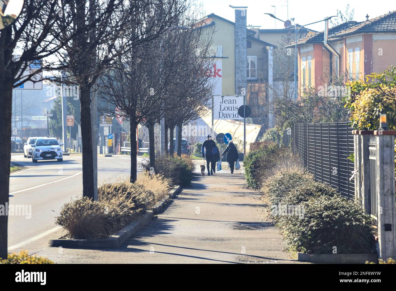 Pavement with trees and bushes on a country road Stock Photo - Alamy
