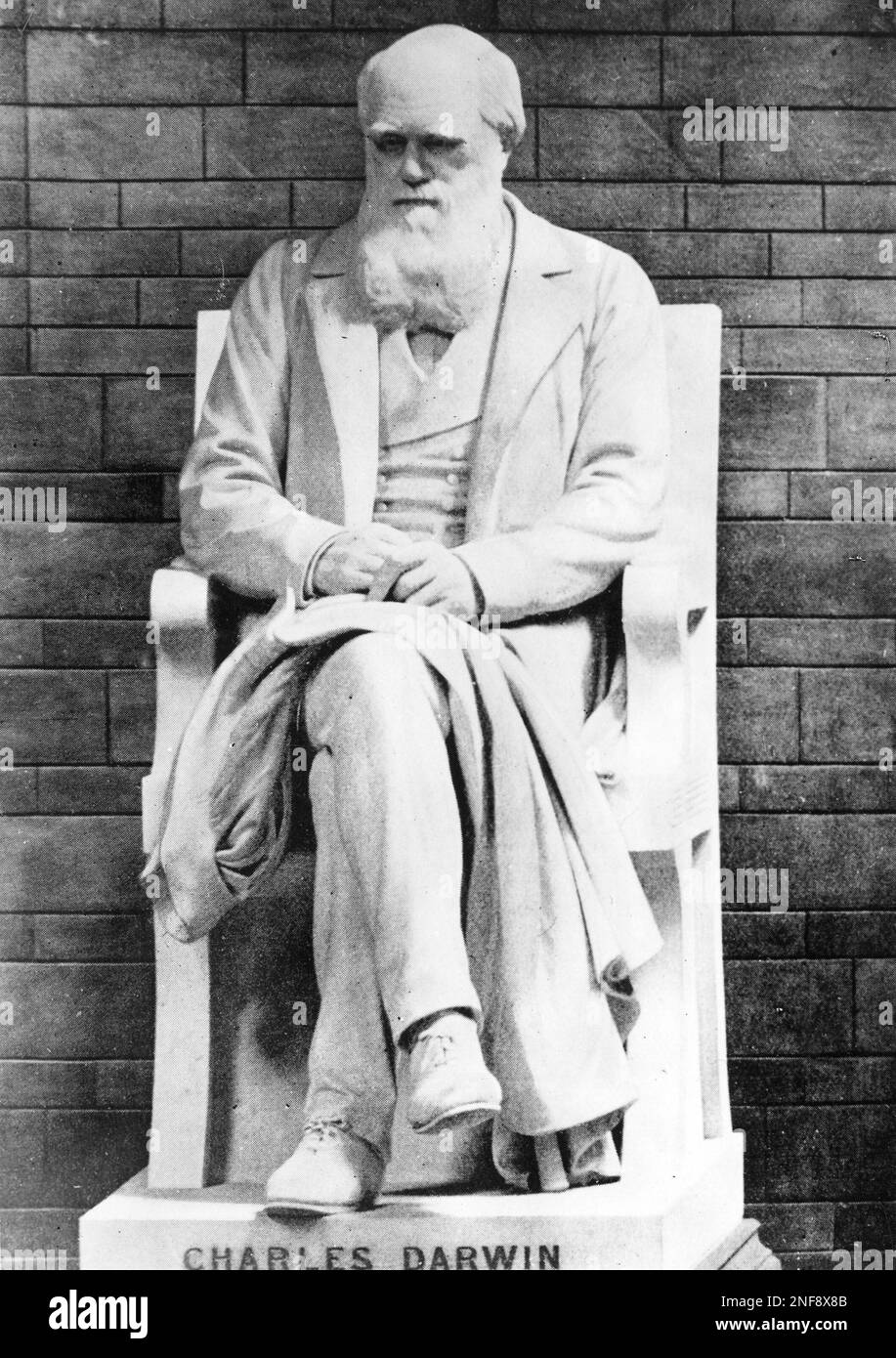 Undated image of the statue of British scientist Charles Darwin ...