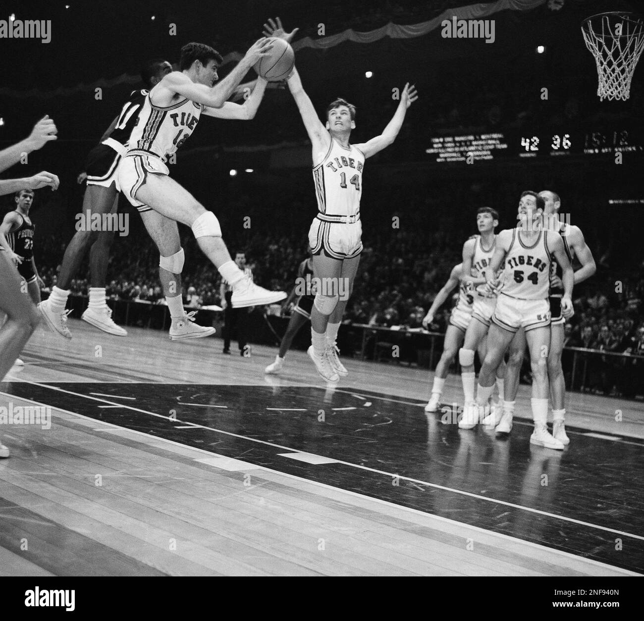 Mike Butler of the Memphis State Tigers leaps to snare rebound in ...