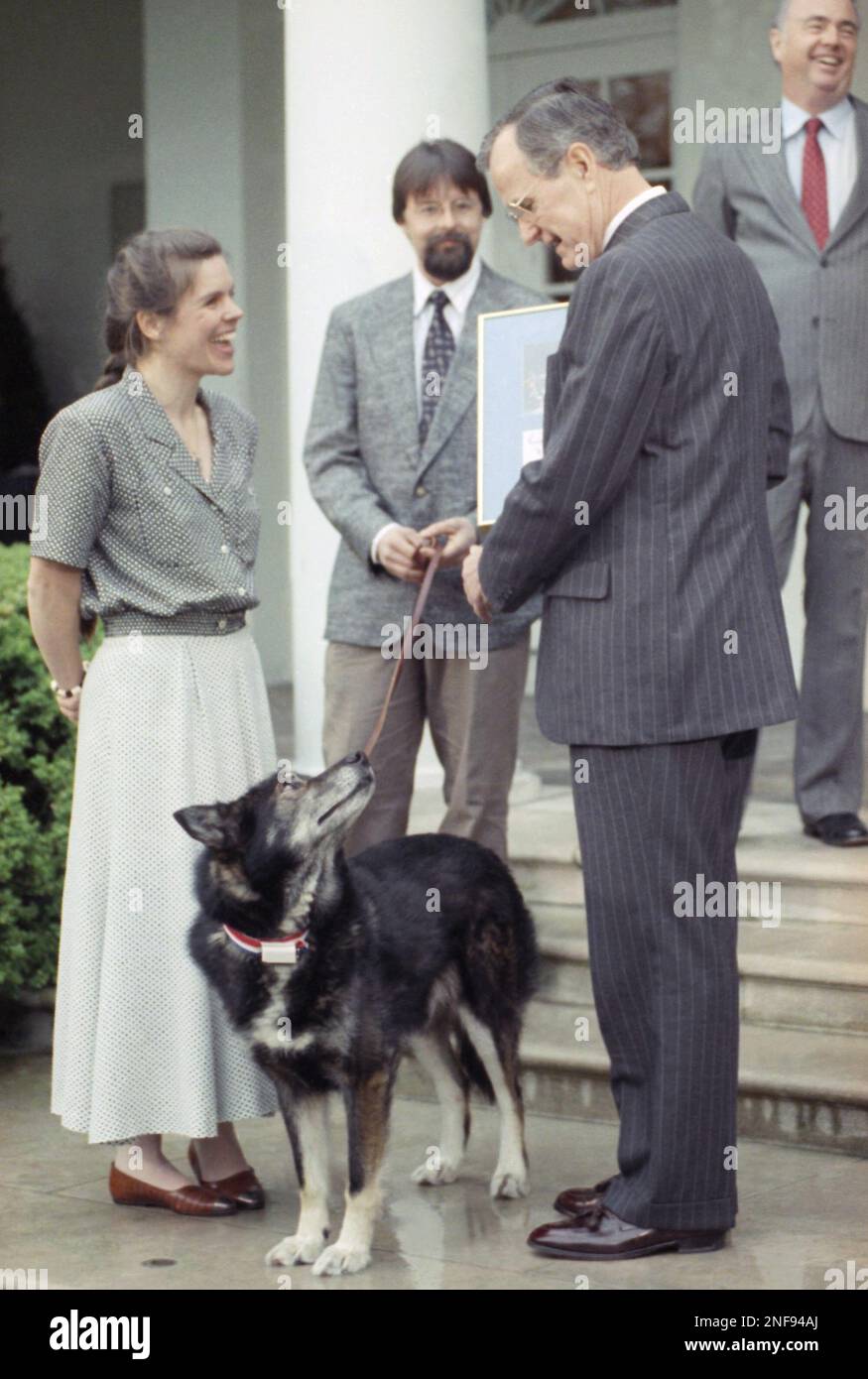 U.S. President George H. Bush meets with Susan Butcher and her lead dog ...