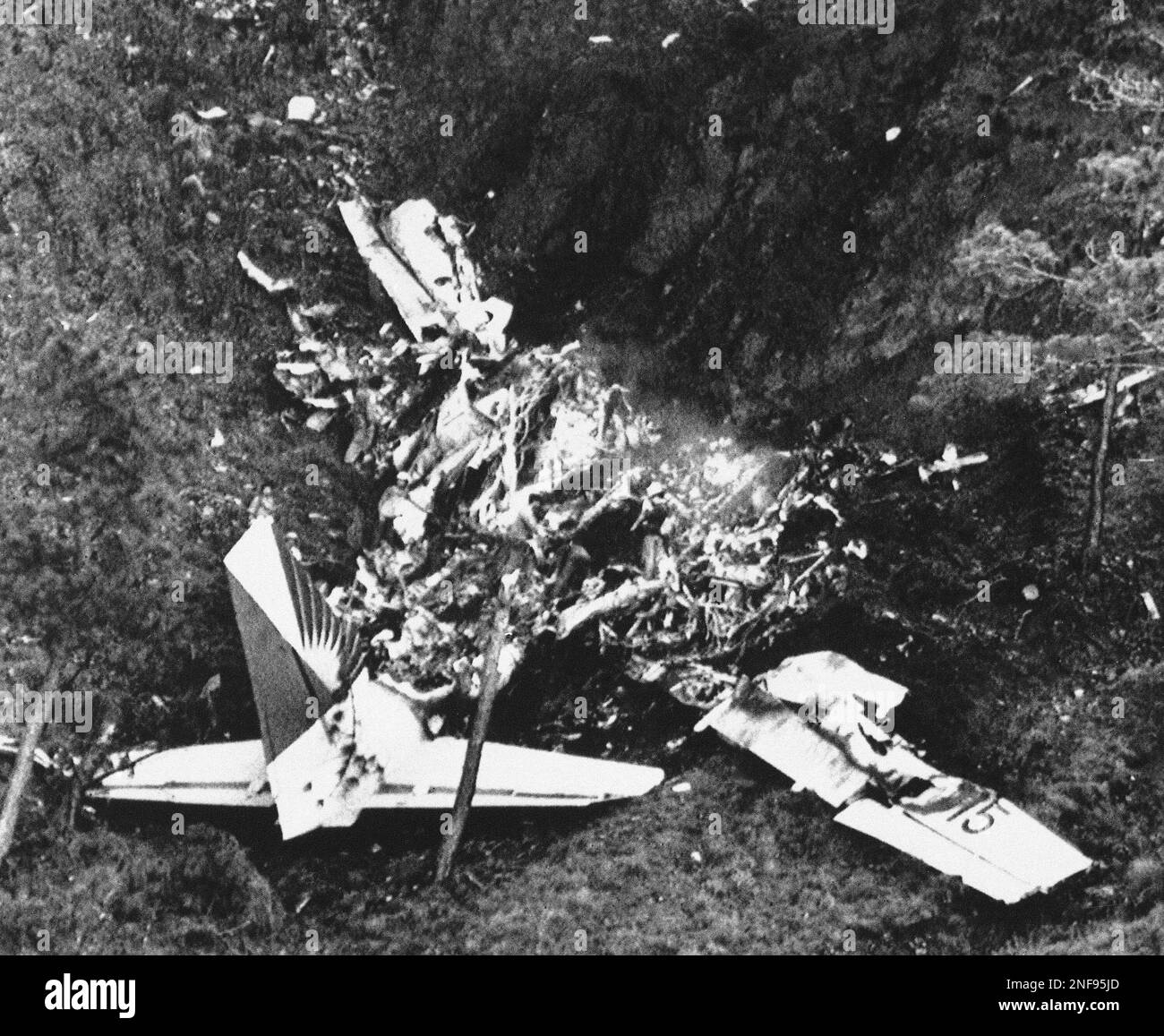 The wreckage of a Philippine Airlines plane which crashed into a ...