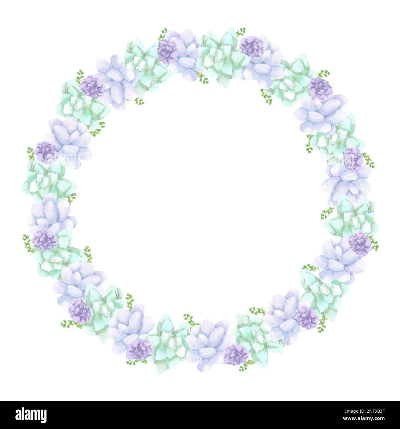 Succulent plants round frame boarder on white Background. Hand drawn ...
