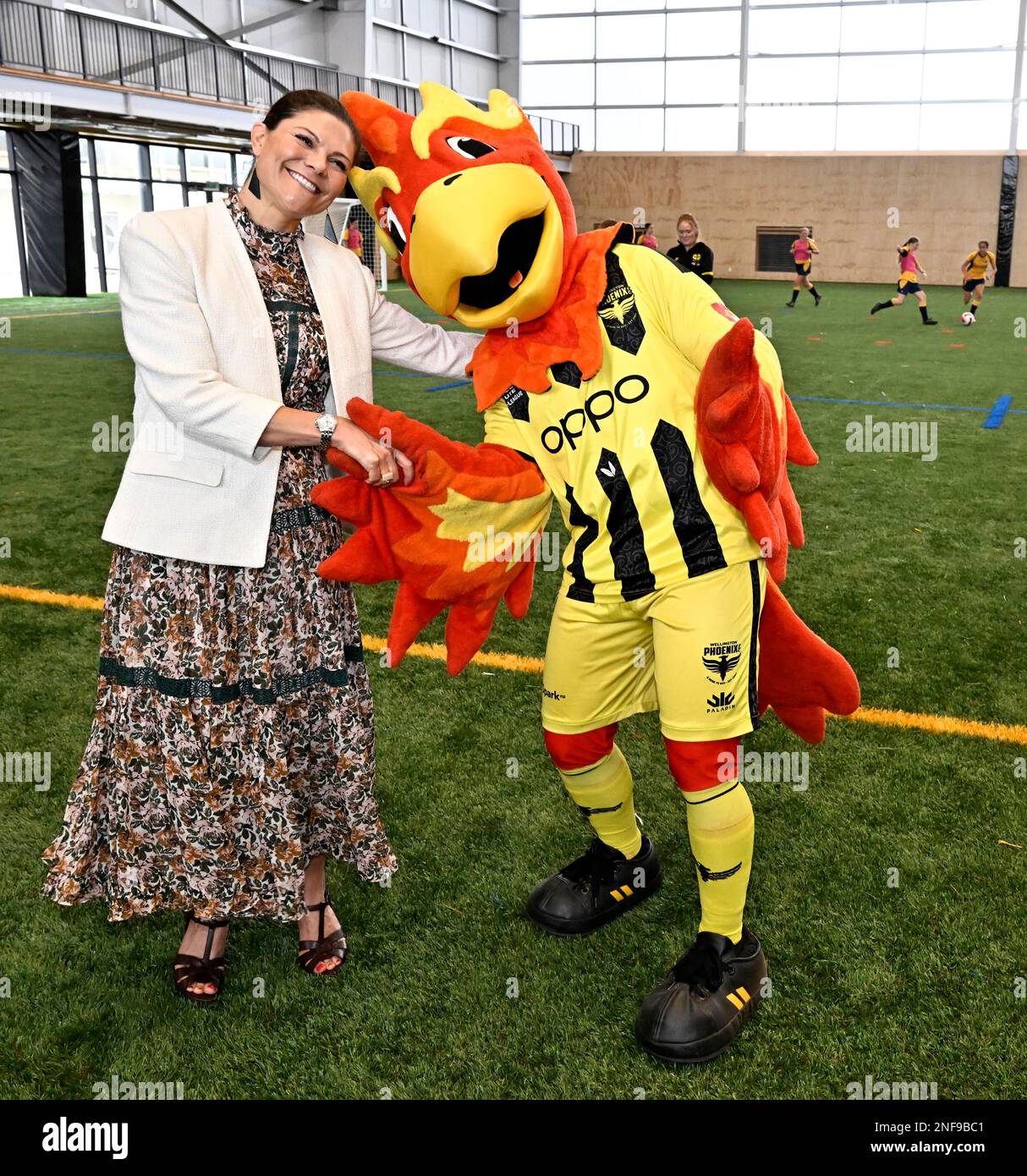 Wellington hurricanes hi-res stock photography and images - Alamy