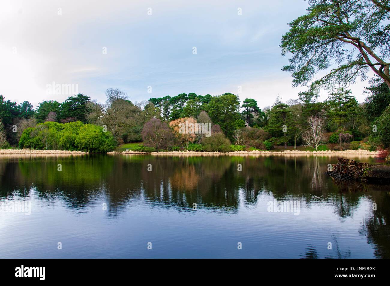 Lake surrounded by trees hi-res stock photography and images - Alamy
