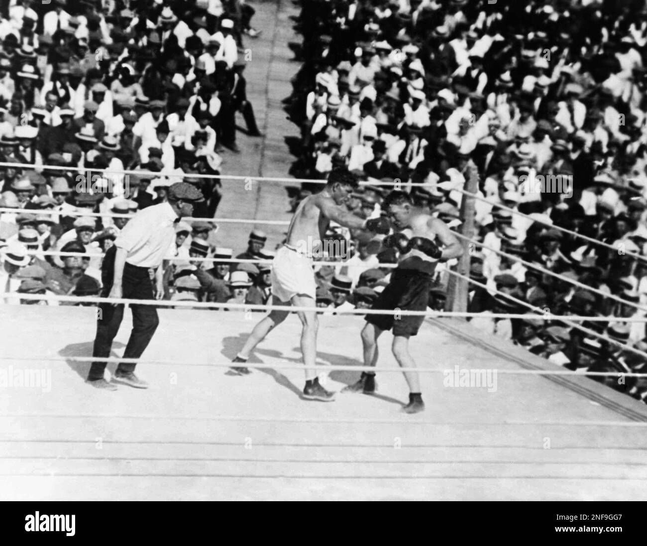 One of the many misses which Dempsey made in his fifteenth round ...