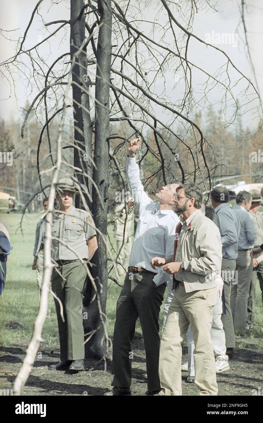 President George H.W. Bush reaches to touch a burned tree on Monday ...