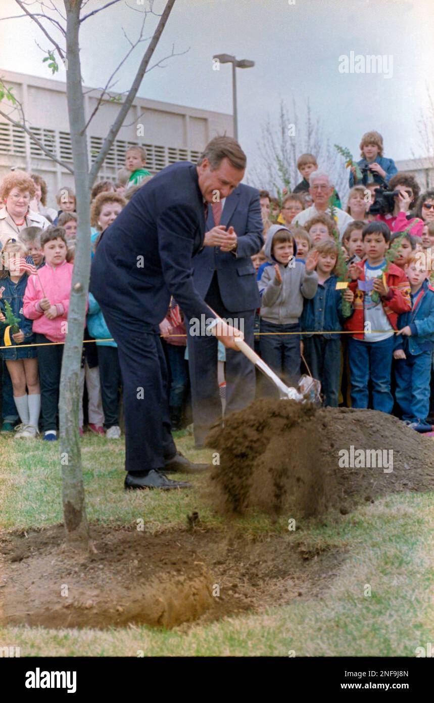 President George Bush tosses a spadeful of dirt on a newly-planted tree ...
