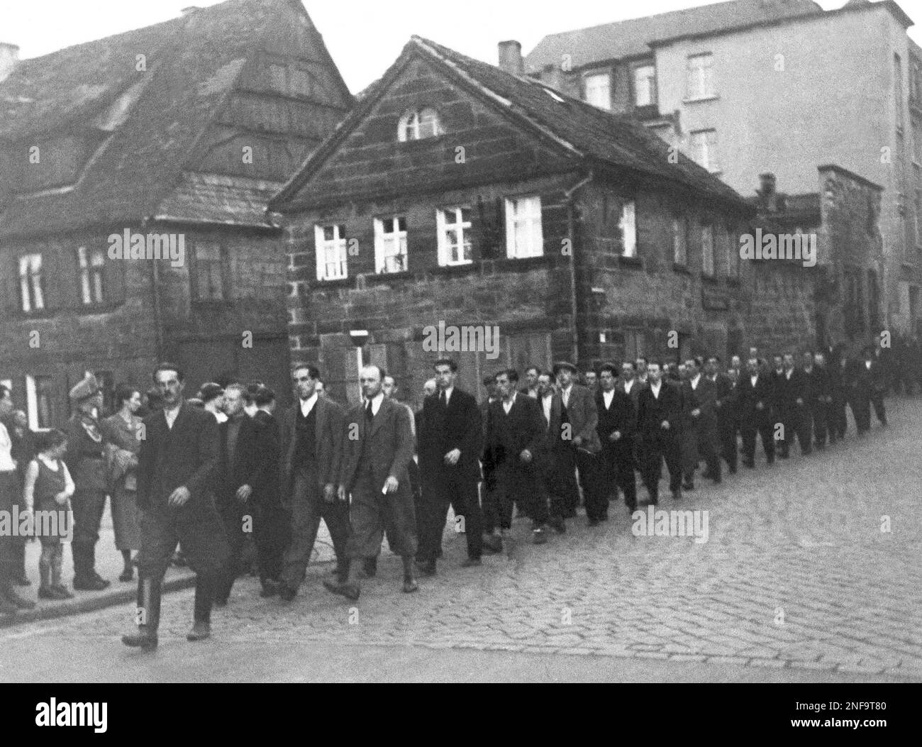 Members of the Sudeten German "Free Corps" organized by Konrad Henlein ...