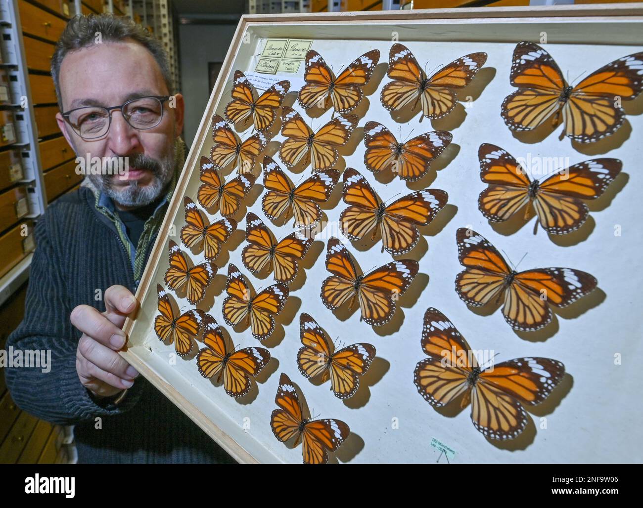16 February 2023, Brandenburg, Müncheberg: Stephan Blank, entomologist ...