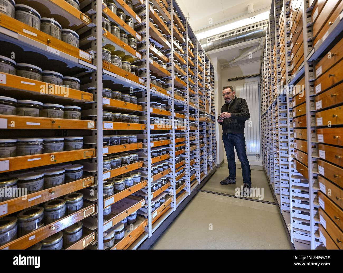 16 February 2023, Brandenburg, Müncheberg: Stephan Blank, entomologist ...