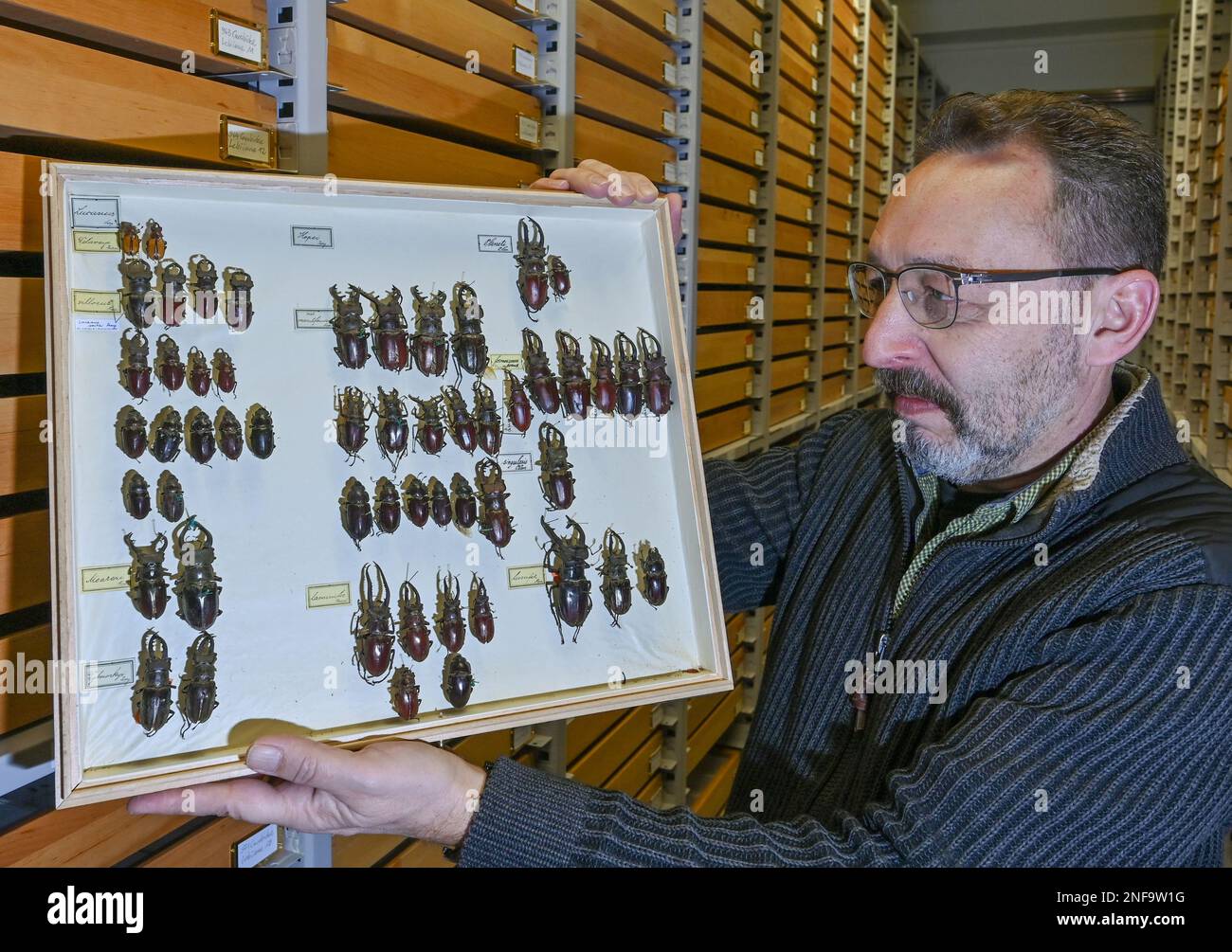 16 February 2023, Brandenburg, Müncheberg: Stephan Blank, entomologist ...