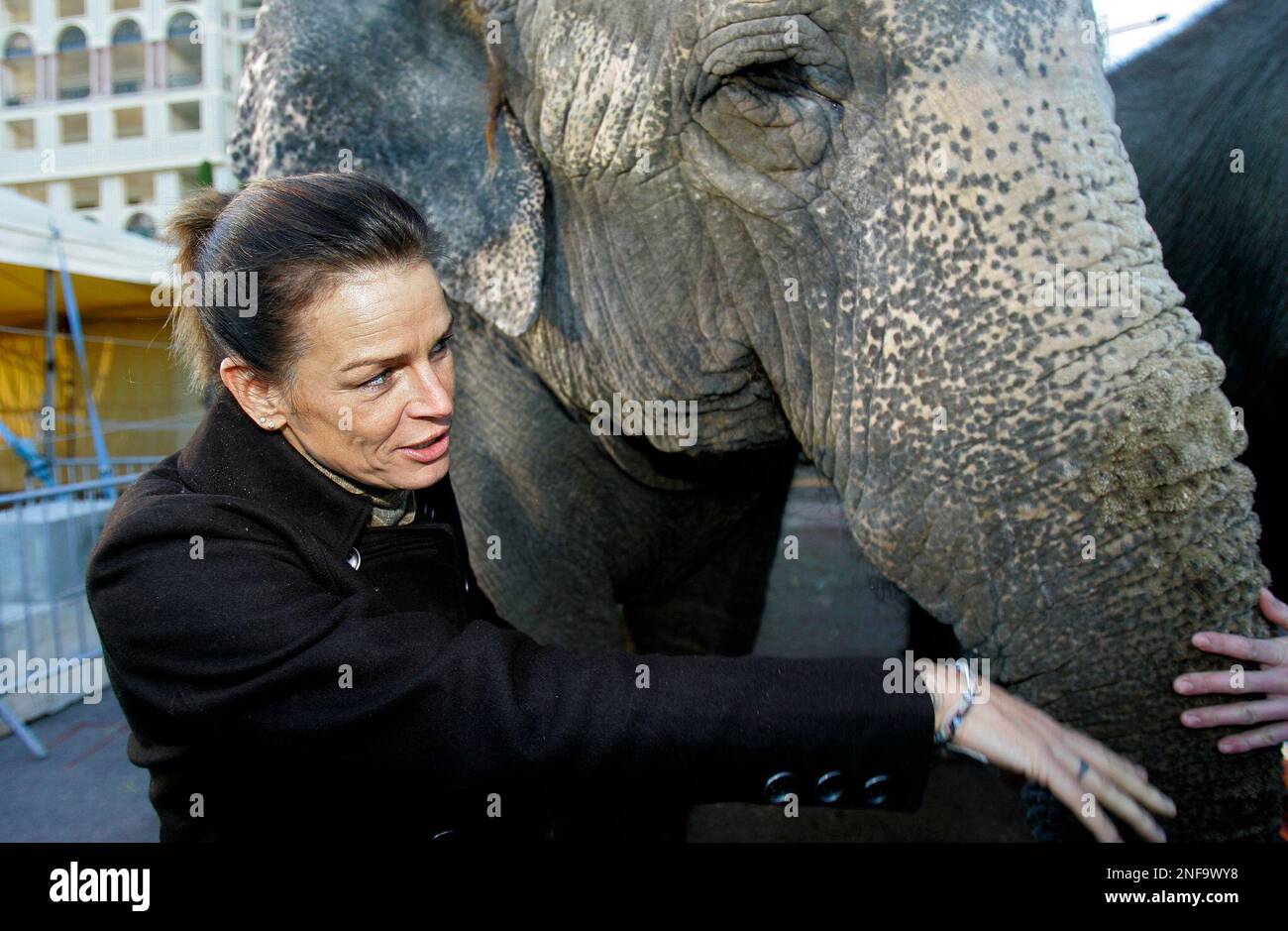 Princess Stephanie of Monaco poses with an elephant as she presents the ...