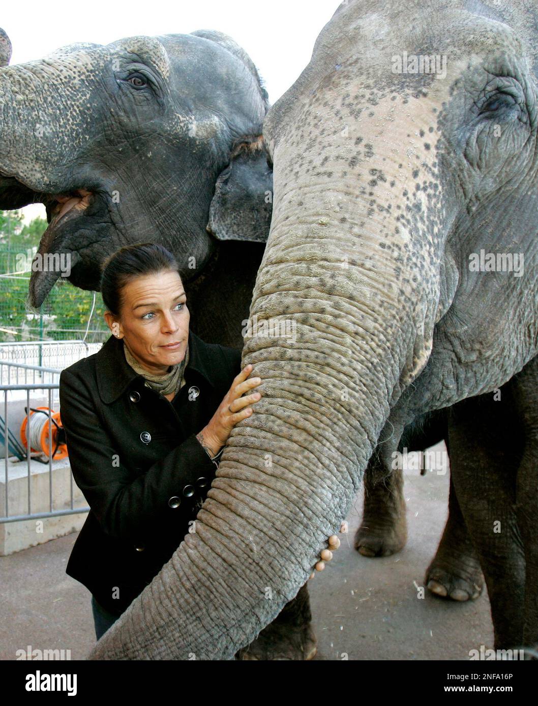 Princess Stephanie of Monaco poses with elephants as she presents the ...