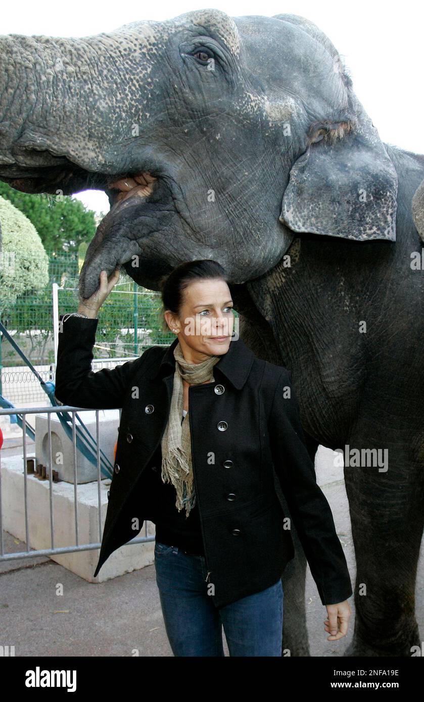 Princess Stephanie of Monaco poses with an elephant as she presents the ...