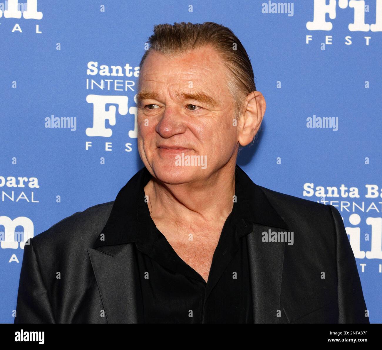 SANTA BARBARA, CALIFORNIA - February 16, 2023: Brendan Gleeson attends ...