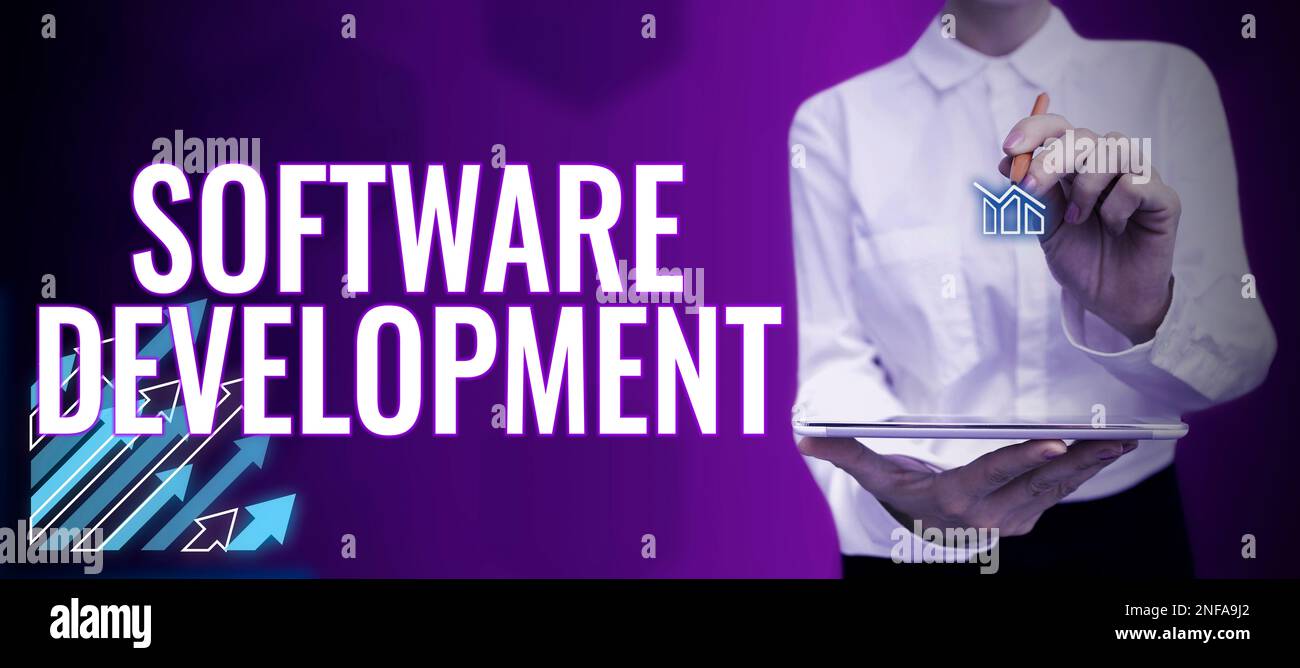 Conceptual caption Software Development, Business overview software is created using a specific ...