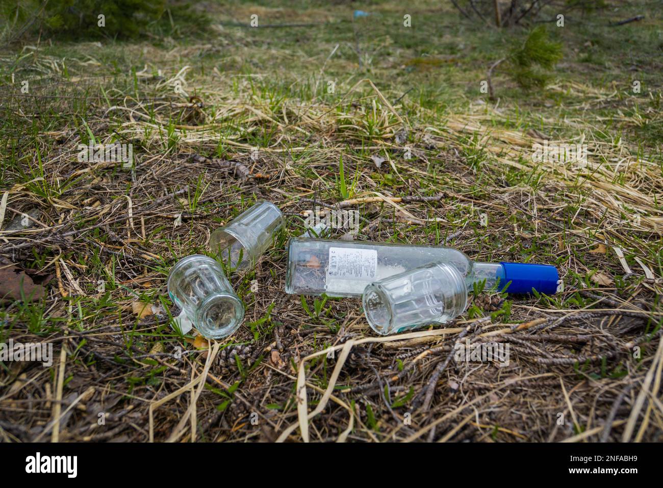 Wastes in the forest, empty bottle and two drinking glasses Stock Photo ...