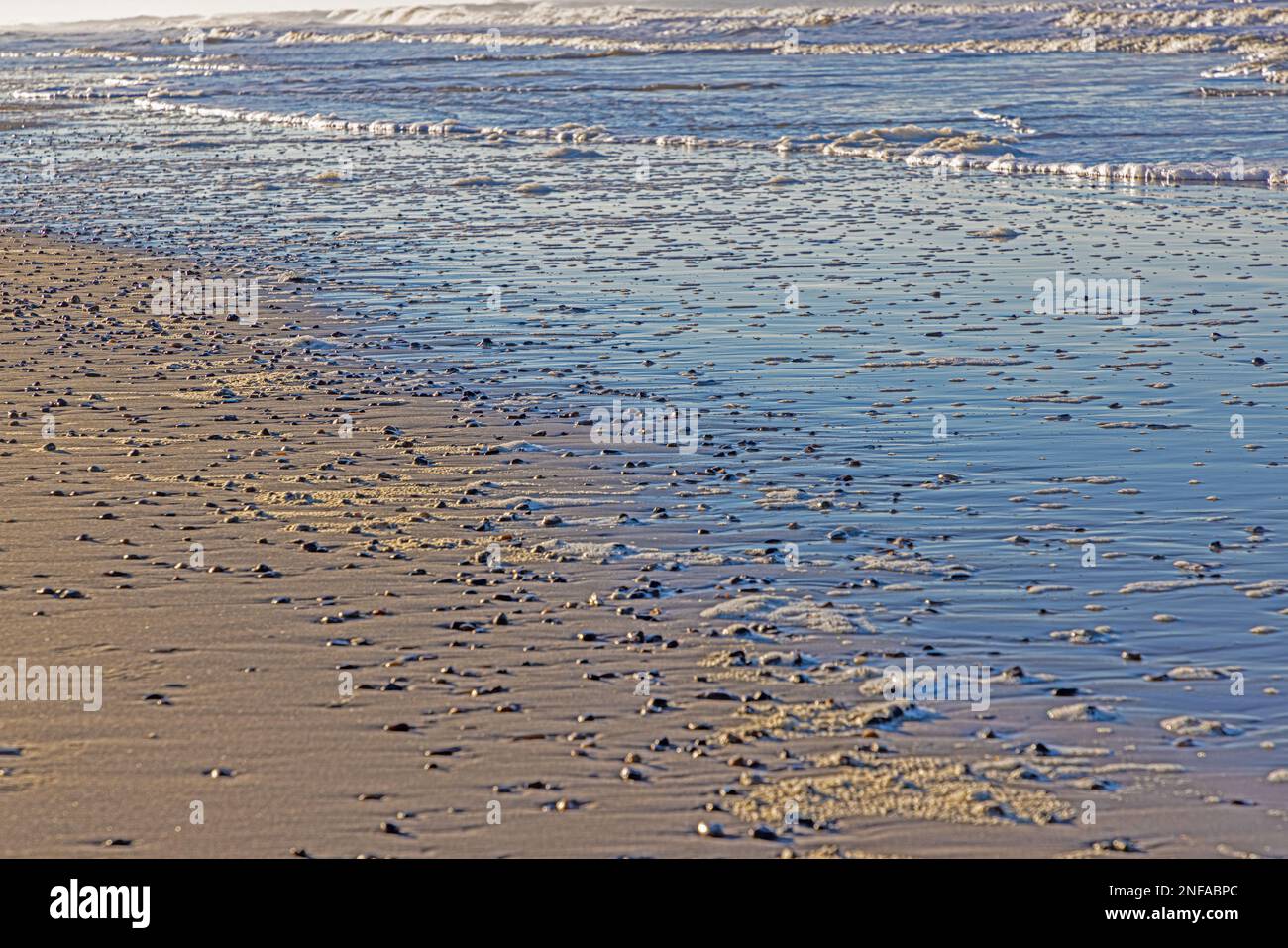 Image of shells and stones on a North Sea beach in Denmark in winter ...