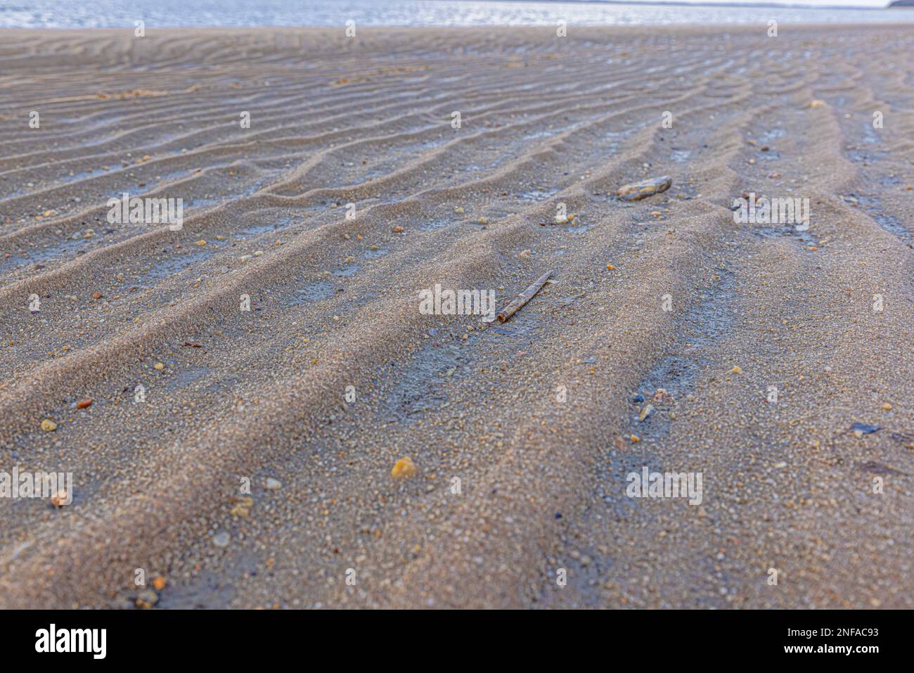 Image of shells and stones on a North Sea beach in Denmark in winter ...