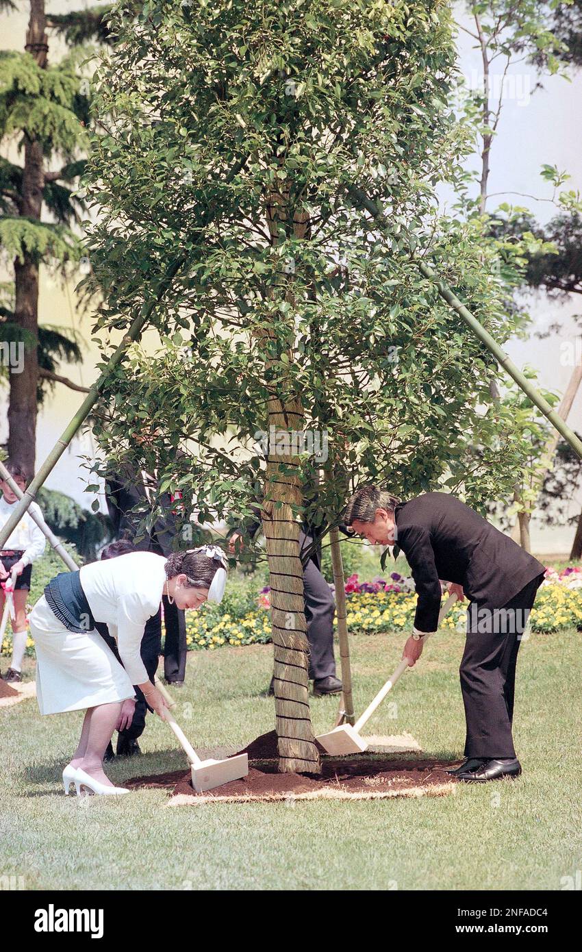 Emperor Akihito and Empress Michiko shovel earth onto a camphor tree as ...